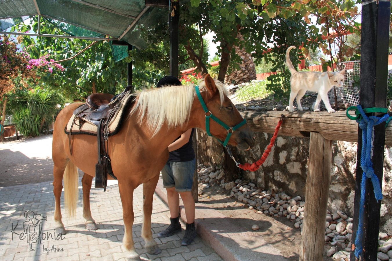 Bavarian Horse Riding Stables - Kefalonia by Anna