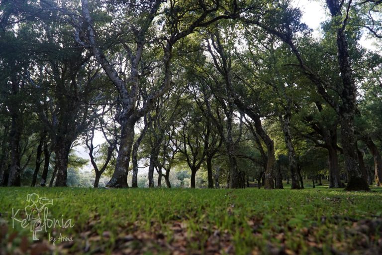 Monastery of Mother of God-"Themata" - Kefalonia by Anna