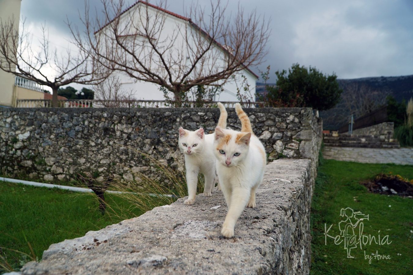 Monastery of Mother of God-"Themata" - Kefalonia by Anna