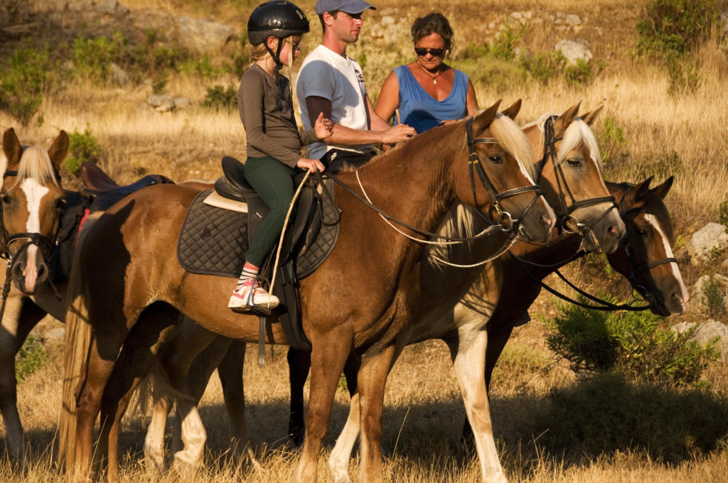 Bavarian Horse Riding Stables - Kefalonia by Anna