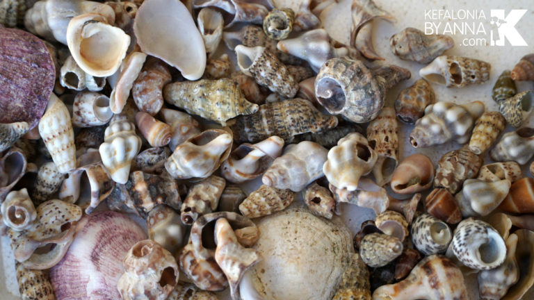 Experience an authentic Greek cruise around the Ionian islands with ...