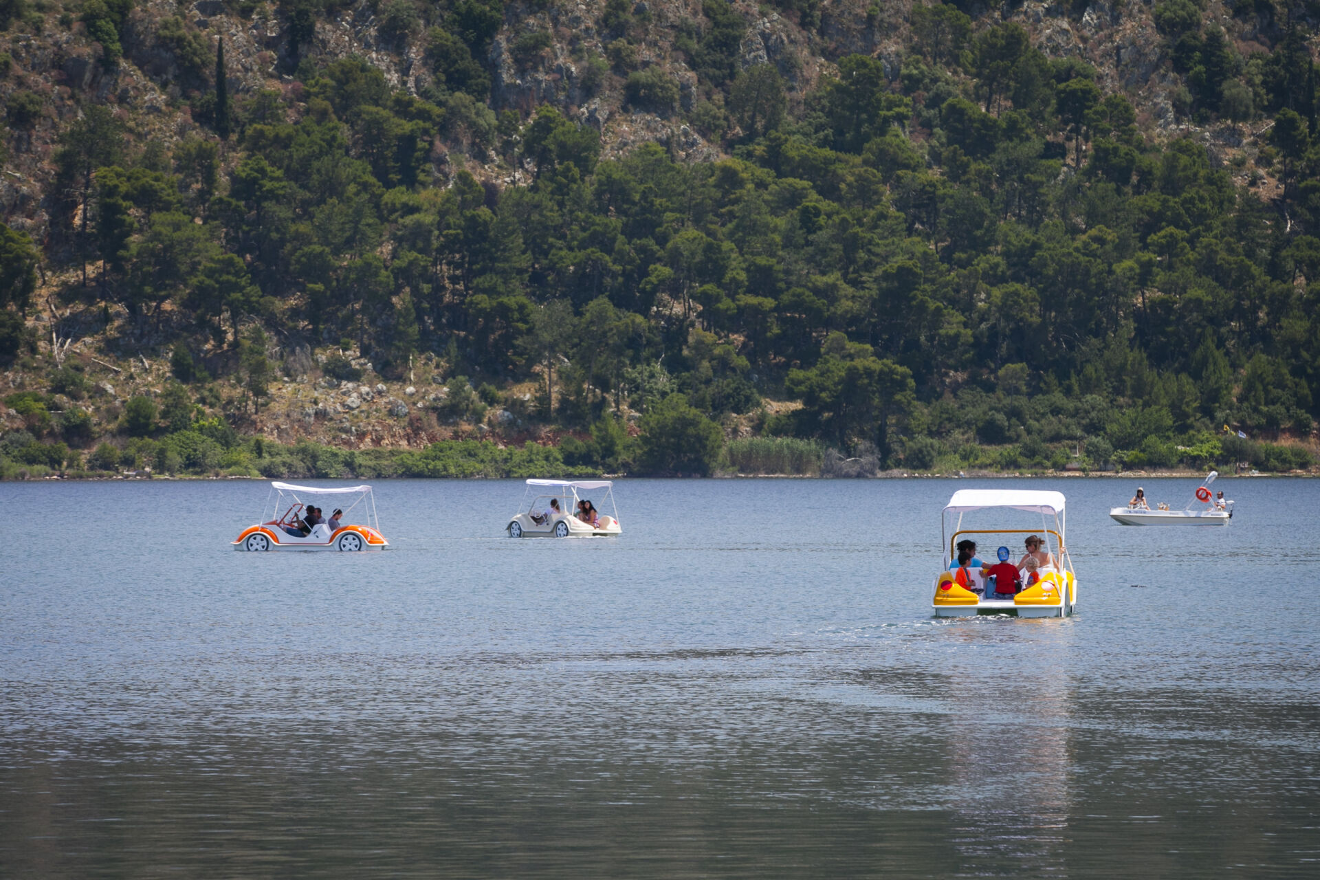Argostoli Lagoon Activities - Kefalonia by Anna